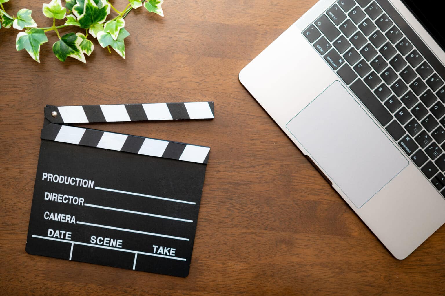 Vrewとは？使い方をマスターして動画編集を楽しもう - 動画制作・映像制作ならサムシングファン｜大阪･東京･名古屋の動画DX®会社